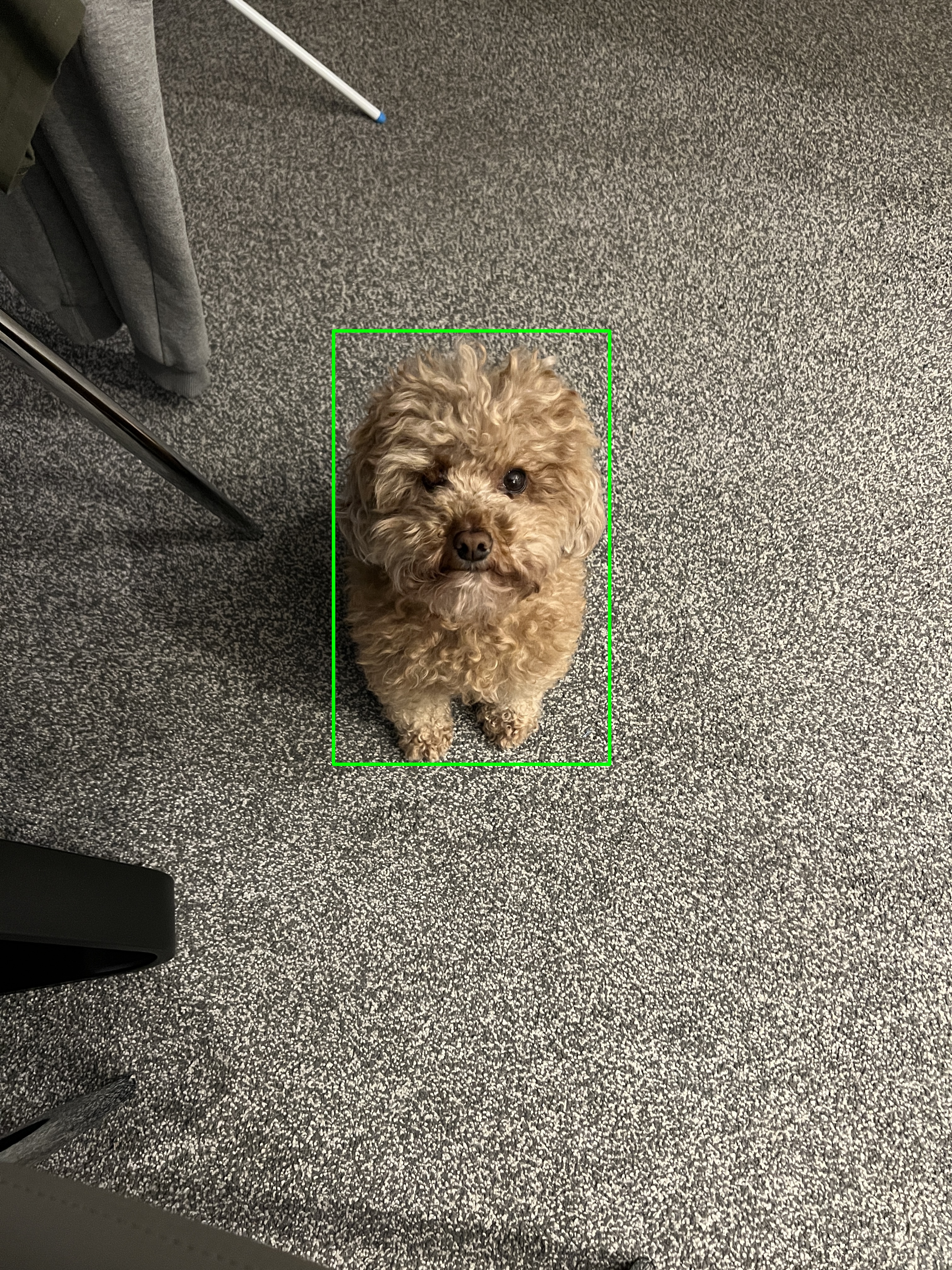 OCI Vision: drawing a bounding box on analysed images 📦 – Brendan's ...