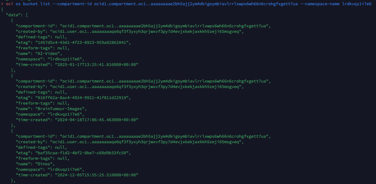 Sending raw requests using the OCI CLI 💻 – Brendan's Tech Ramblings